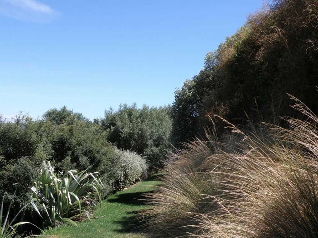 Plantings - Shafer Design