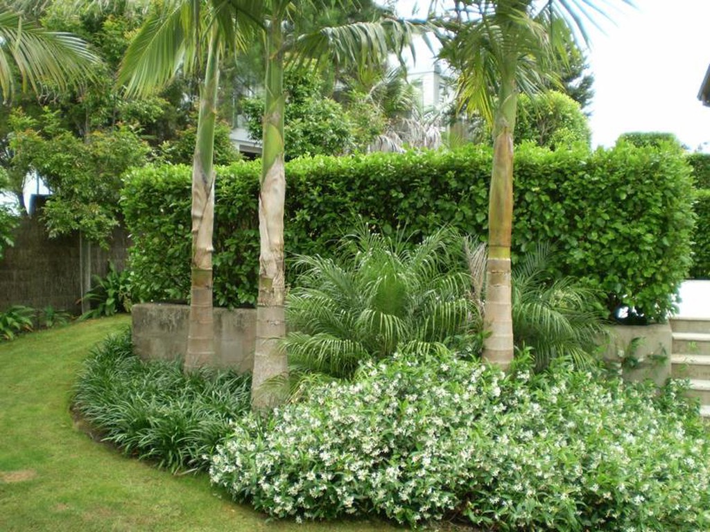 Plantings - Shafer Design