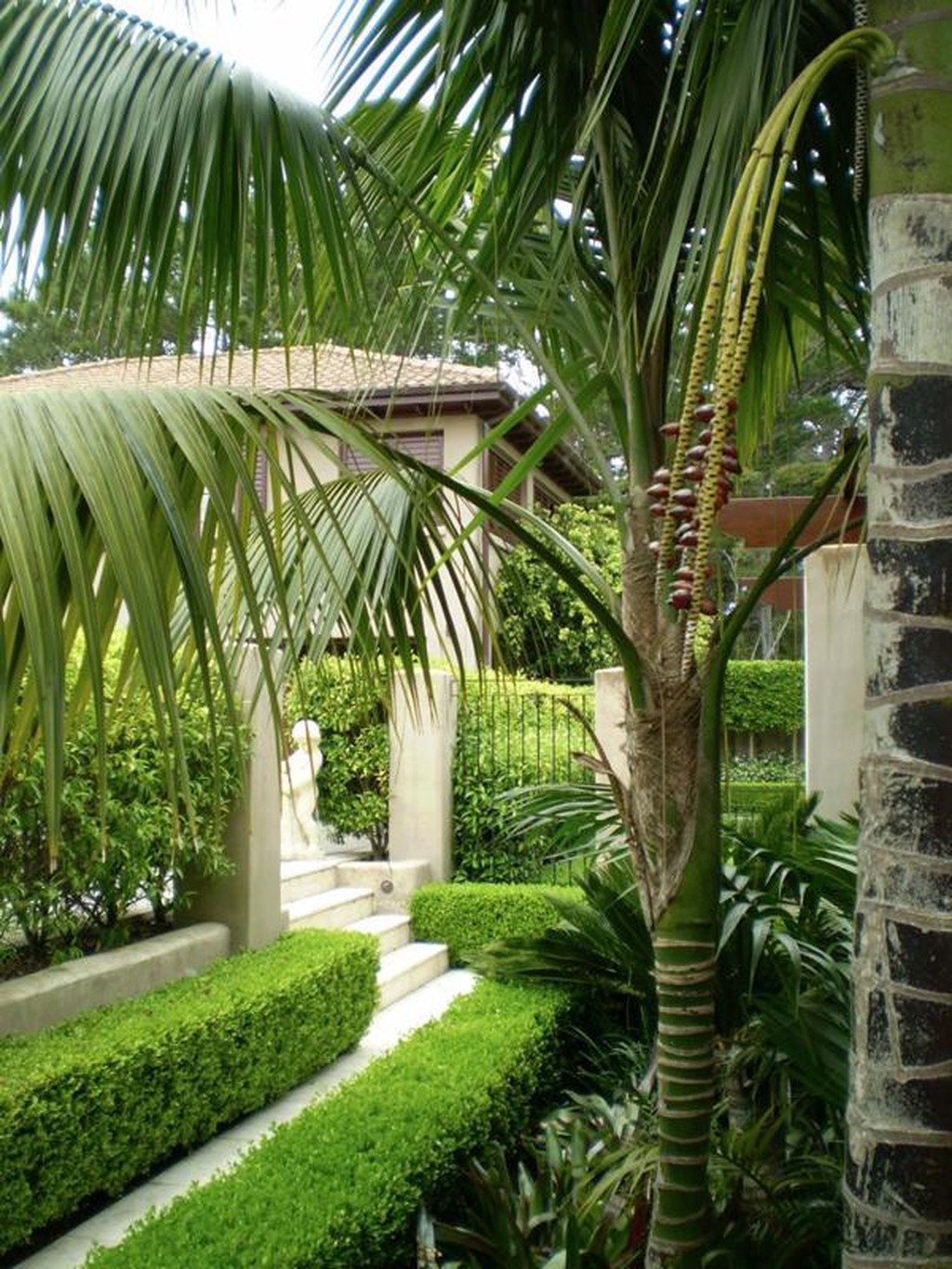 Plantings - Shafer Design
